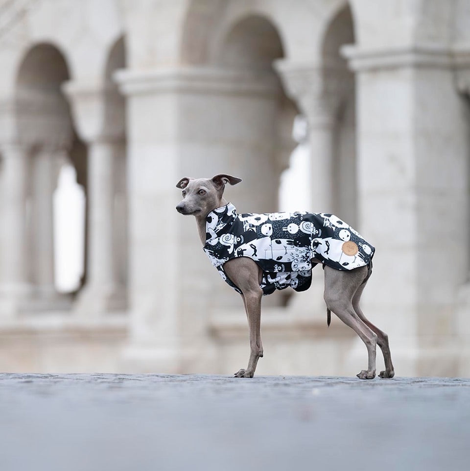 The Hound Project｜Ray Dog Kyoto