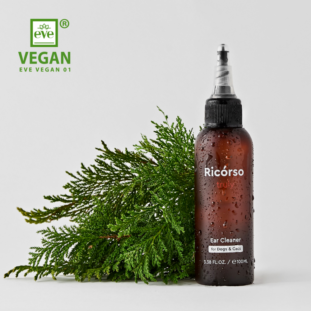 truly イヤークリーナー – Ray Dog Kyoto